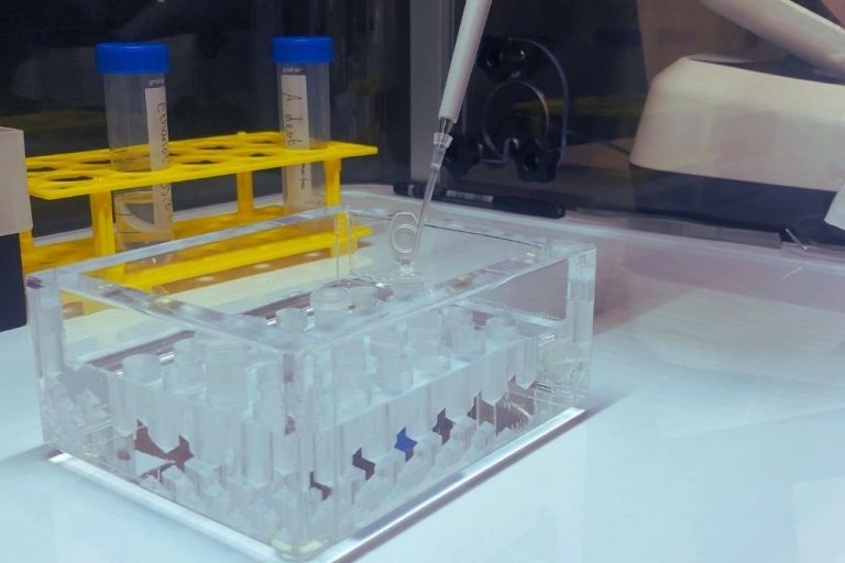 In Vitro Transcription (IVT) - Ecocyte